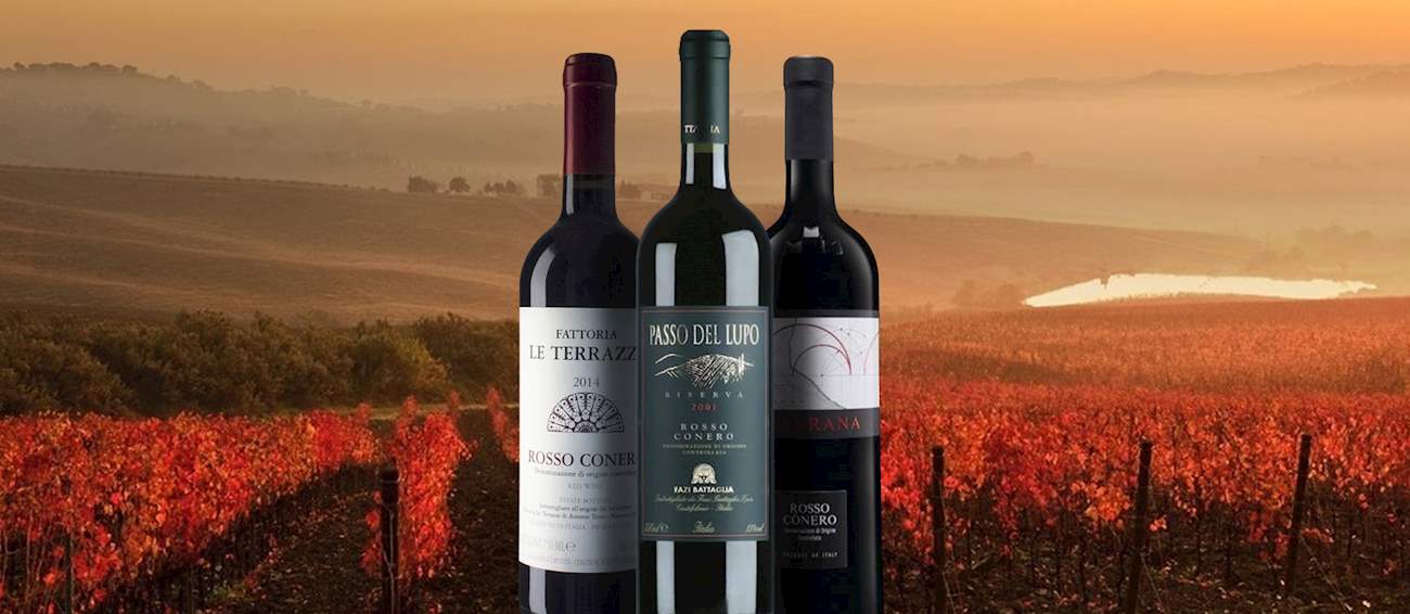 Rosso Cònero | Local Wine Appellation From Province of Ancona, Italy