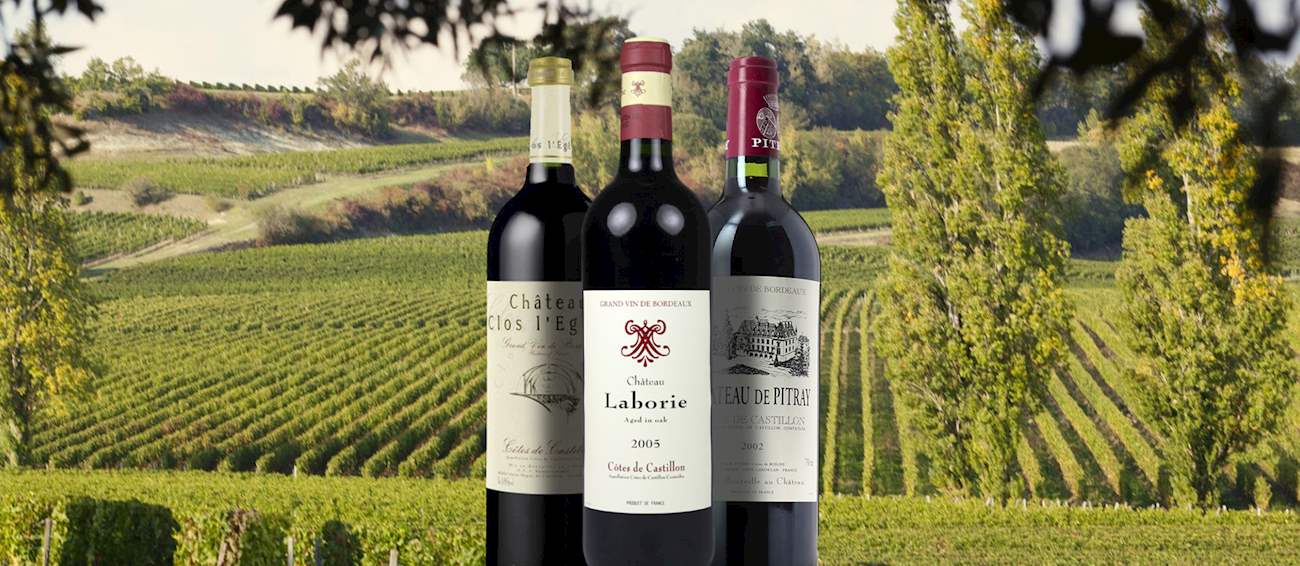 Côtes de Castillon | Local Wine Appellation From Gironde, France