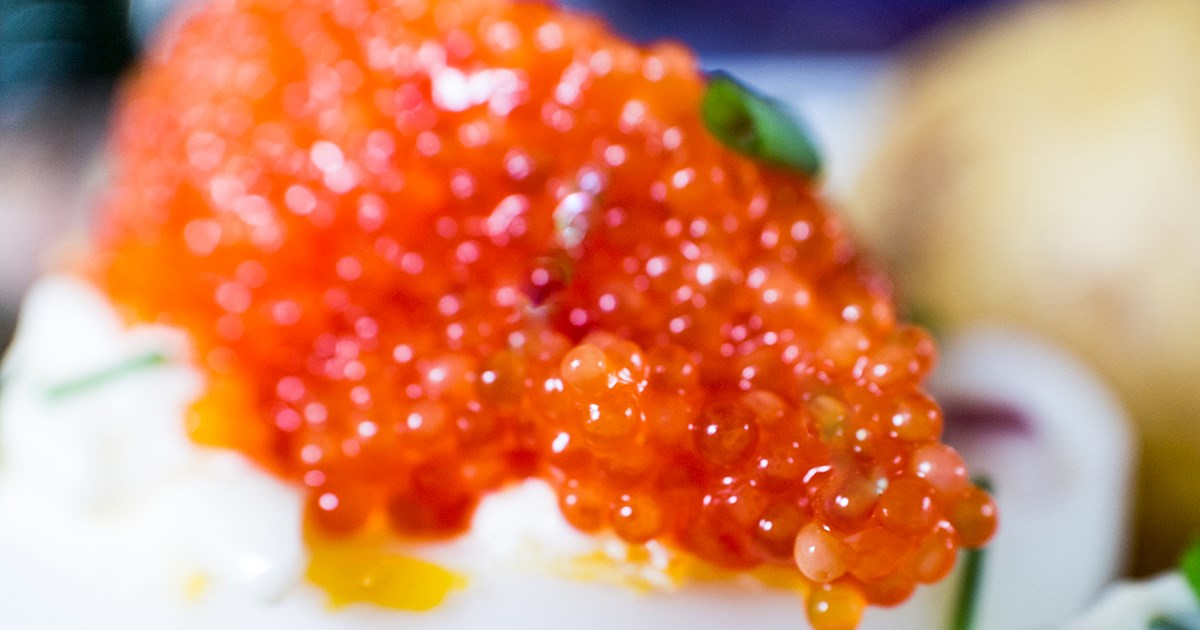 Lumpfish Roe | Local Fish Roe From Greenland