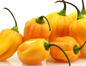 Surinamese Food Map | Local Food in Suriname | TasteAtlas