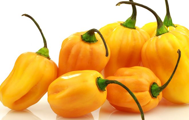 Fruit Vegetables of the World: 64 Fruit Vegetable Types | TasteAtlas