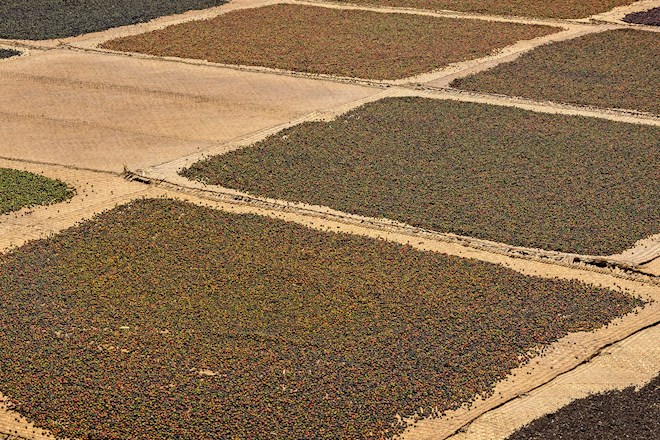 Spices of the World: 52 Spice Types | TasteAtlas