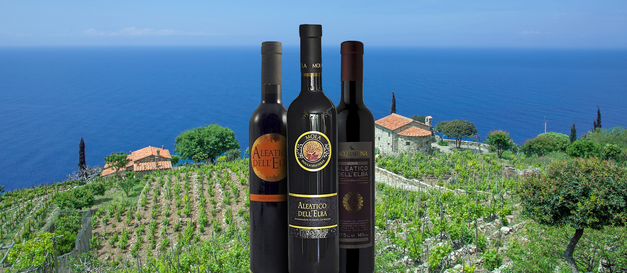 Elba Aleatico Passito | Local Wine Appellation From Elba, Italy