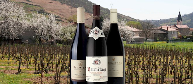 French Red Wines: 114 Red Wine Types in France | TasteAtlas