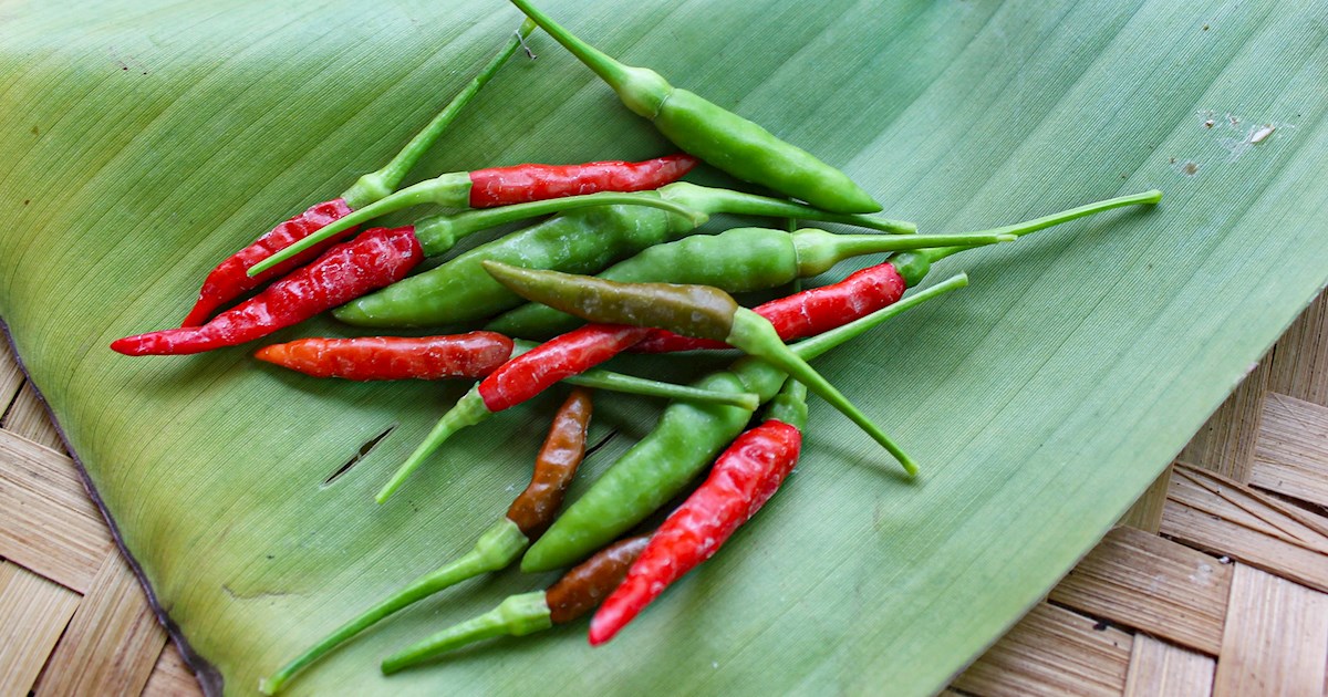 Prik Kee Noo | Local Thai Chili Pepper From Thailand, Southeast Asia