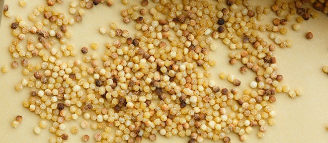 Sardinian Pasta Varieties: 10 Pasta Variety Types in Sardinia | TasteAtlas