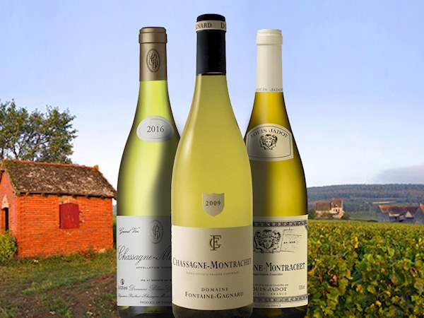 10 Most Popular French White Wines - TasteAtlas