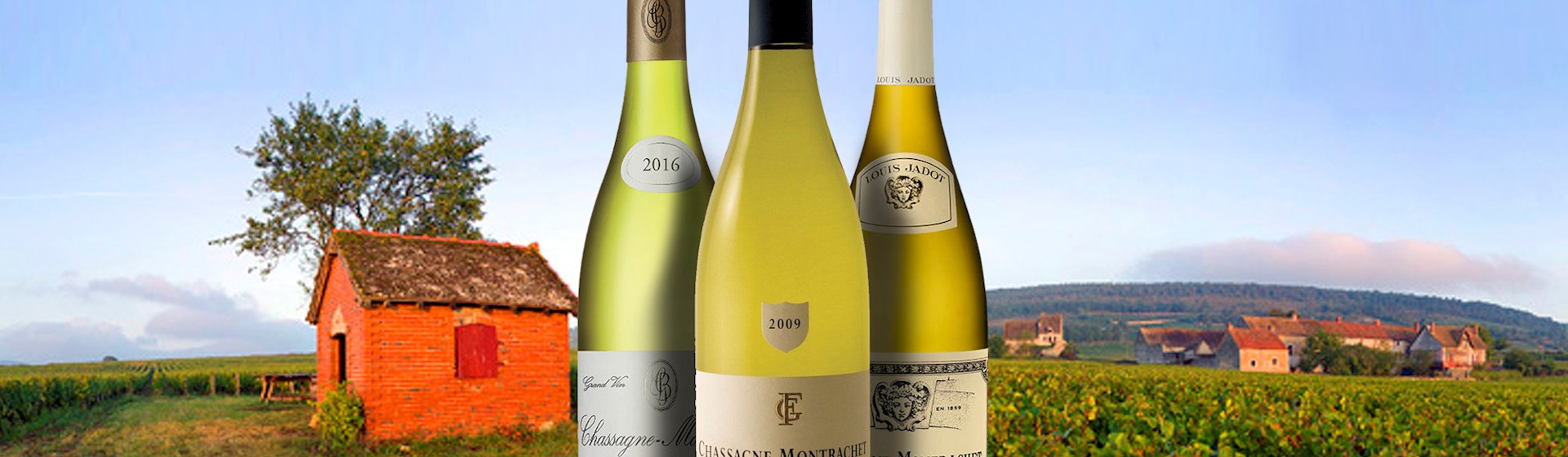 15 Best White Wines in Côte-d'Or - TasteAtlas