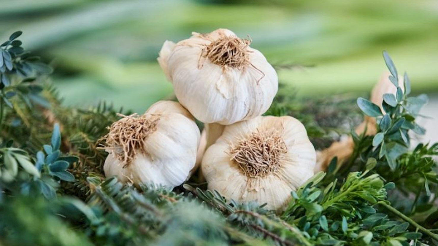 6 Best Bulb Vegetables in Asia - TasteAtlas