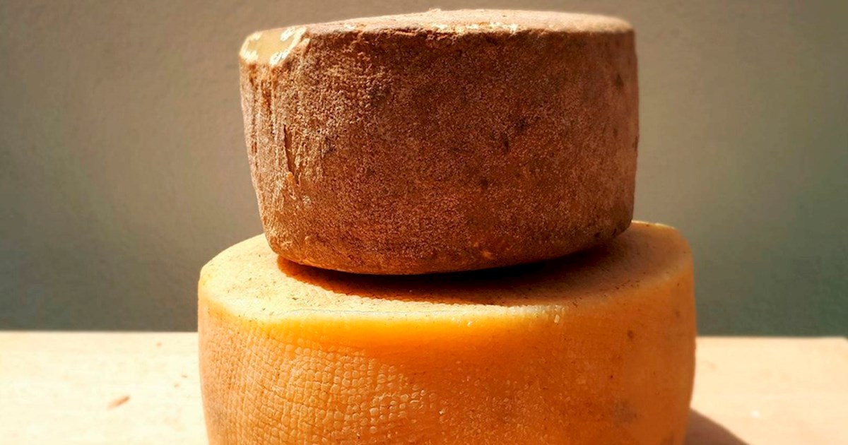Livanjski Sir | Local Cheese From Livno, Bosnia and Herzegovina