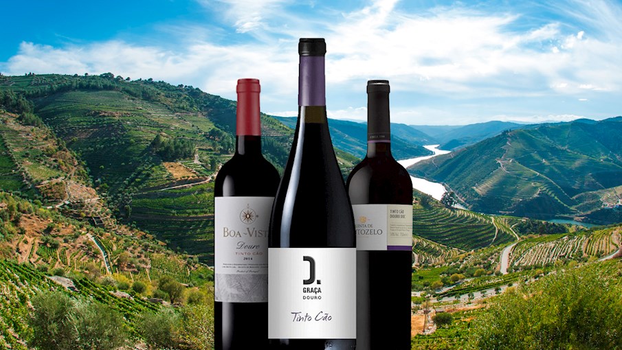100 Best Red Wines in Portugal - TasteAtlas
