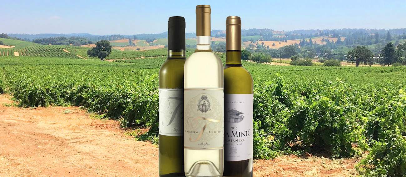 Tamjanika | Local Wine Variety From Serbia, Southeastern Europe