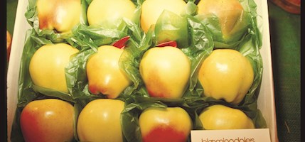 TasteAtlas - Local food around the world