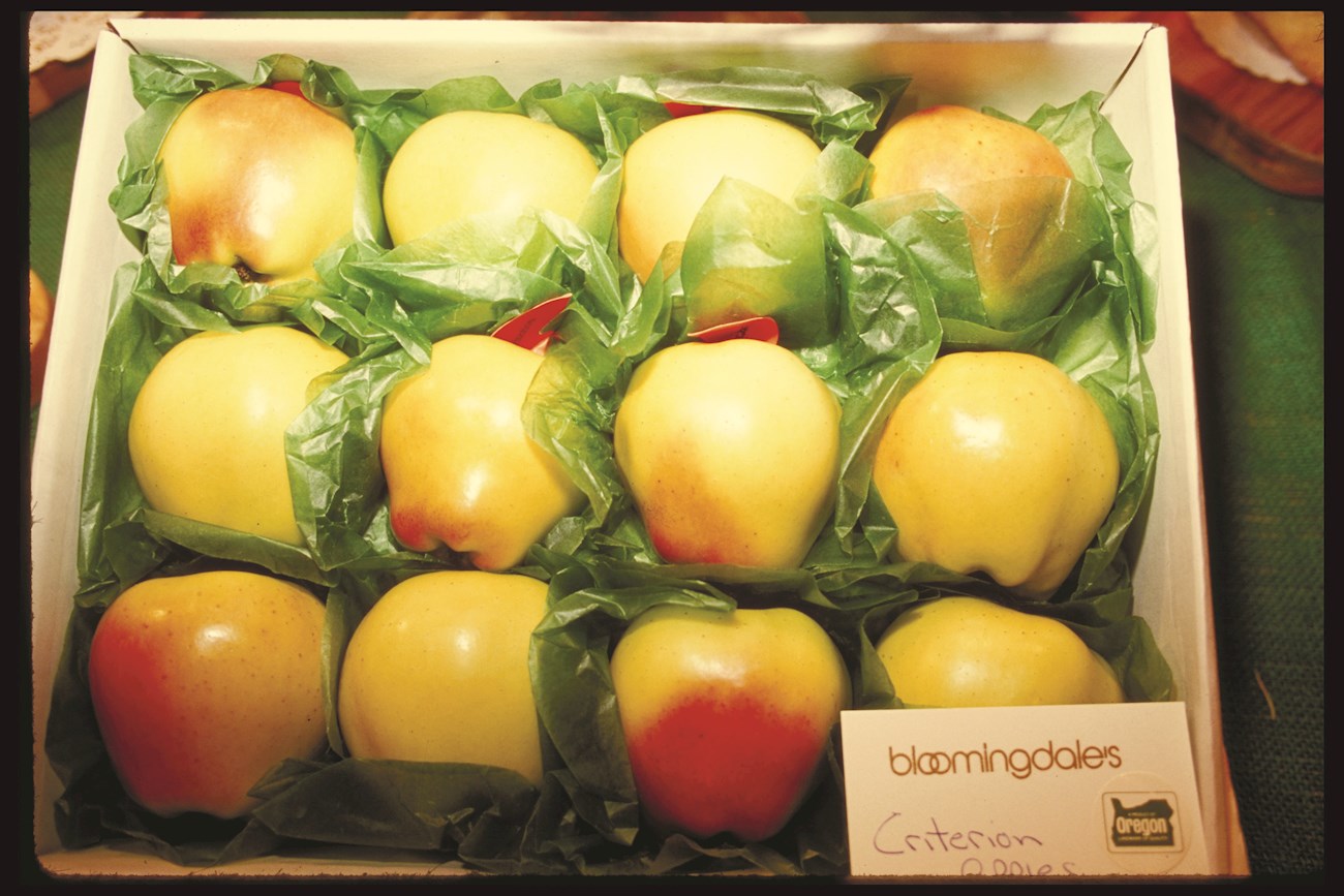 Criterion Apples | Local Apple From Yakima, United States of America