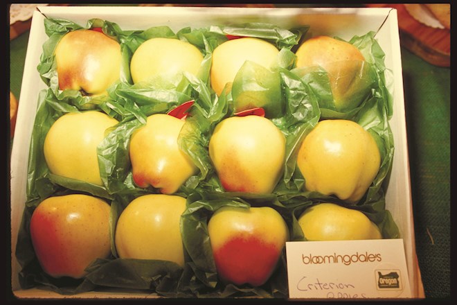 American Apple Varieties: 49 Apple Variety Types in United States of ...