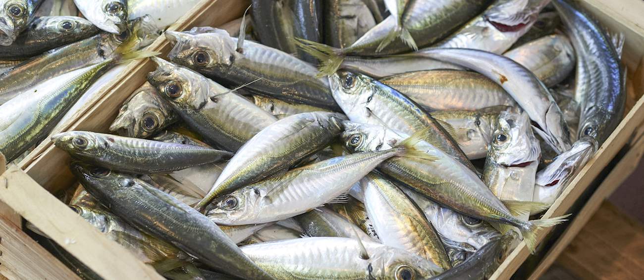 Worst Rated Saltwater Fishes in the World - TasteAtlas