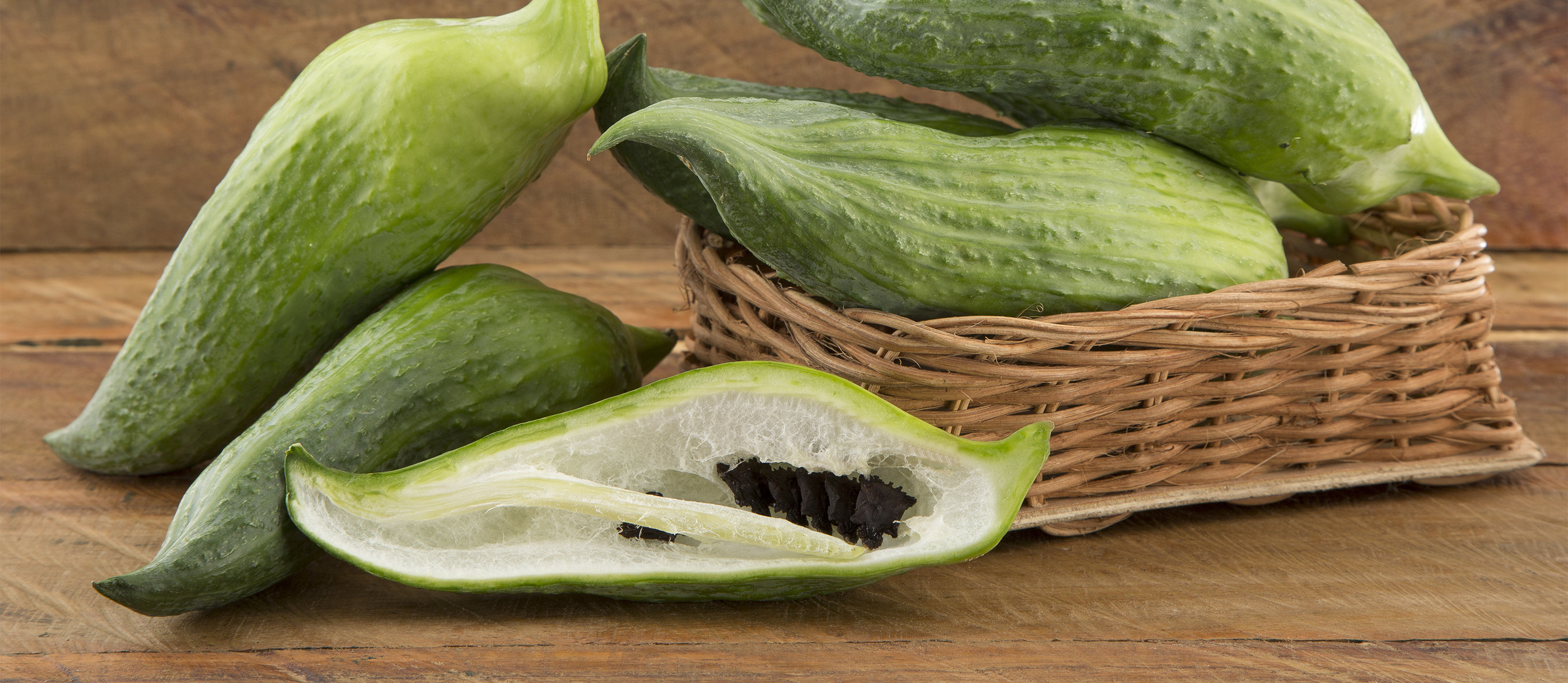 Caigua | Local Vegetable From Mérida State, Venezuela