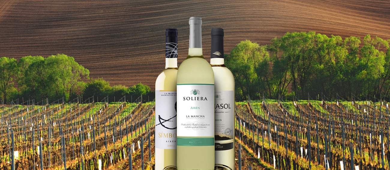 Airén | Local Wine Variety From Castilla-La Mancha, Spain