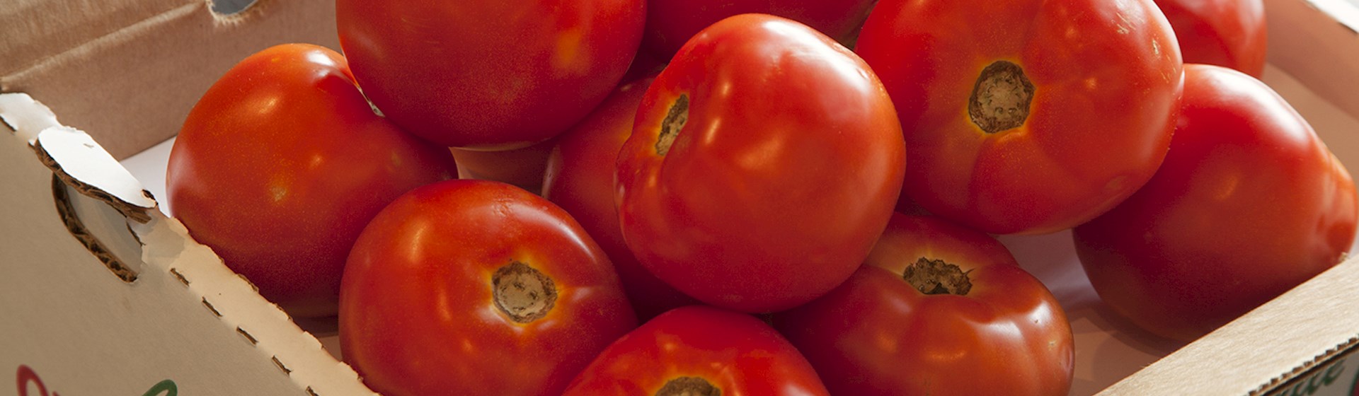 3 Best Fruit Vegetables in the Southern United States - TasteAtlas