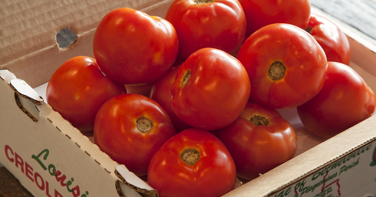 5 Worst Rated American Vegetables - TasteAtlas