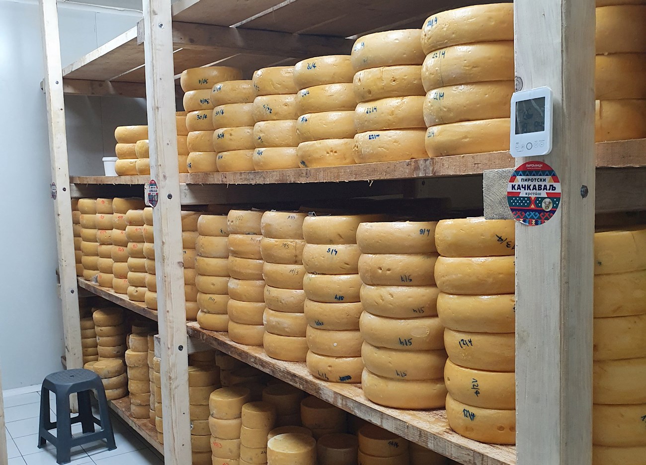 Pirotski Kačkavalj | Local Cheese From Pirot District, Serbia