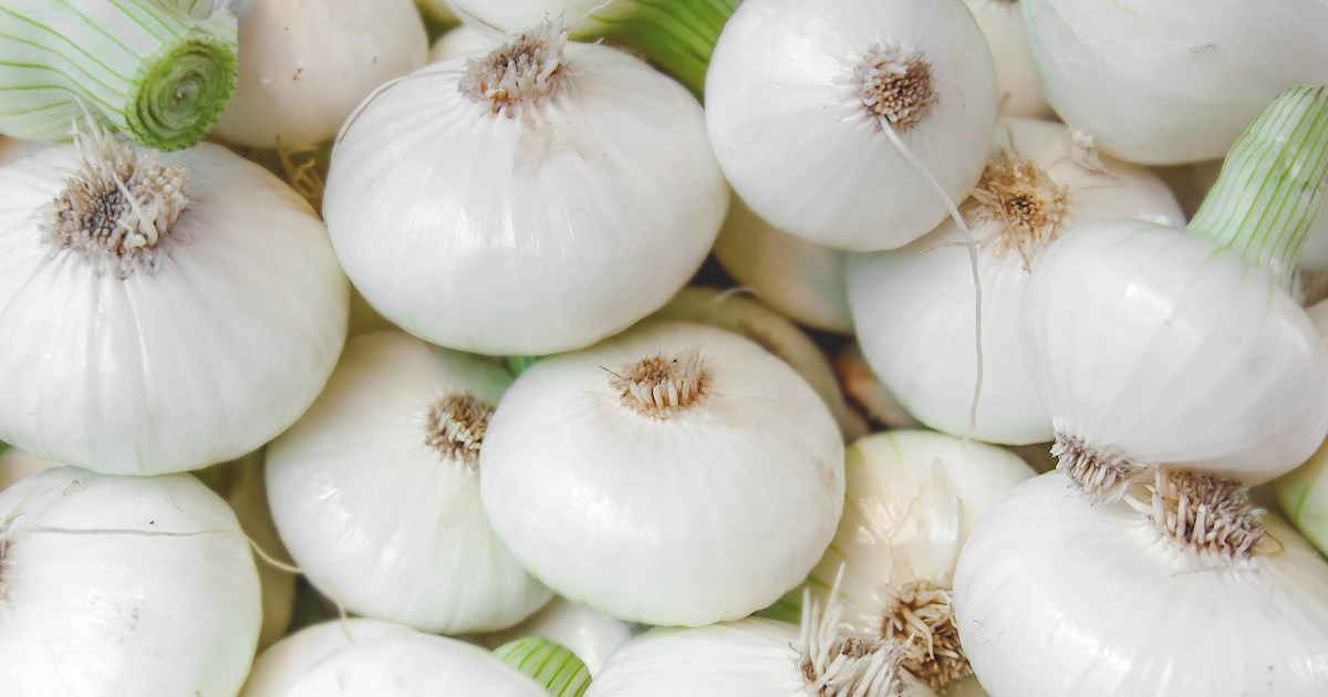 Cipolla di Zapponeta | Local Onion From Zapponeta, Italy