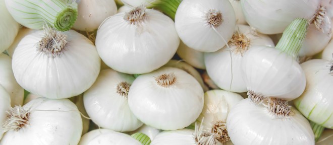 Western European Onions: 8 Onion Types in Western Europe | TasteAtlas