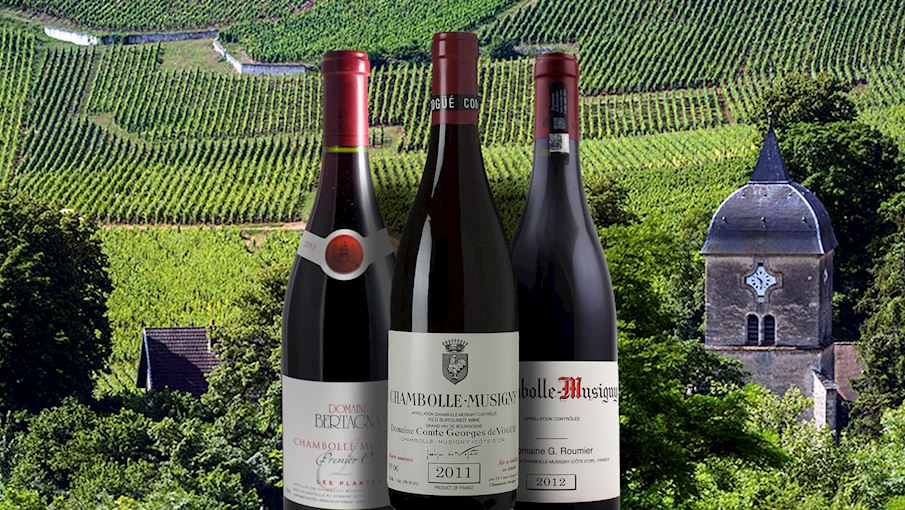 33 Best Red Wines in Burgundy - TasteAtlas