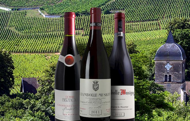 French Red Wines: 73 Red Wine Types in France | TasteAtlas