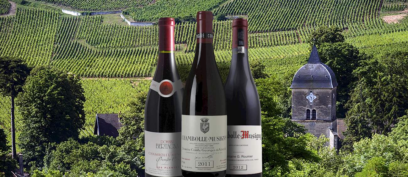 28 Best Red Wines in Burgundy - TasteAtlas