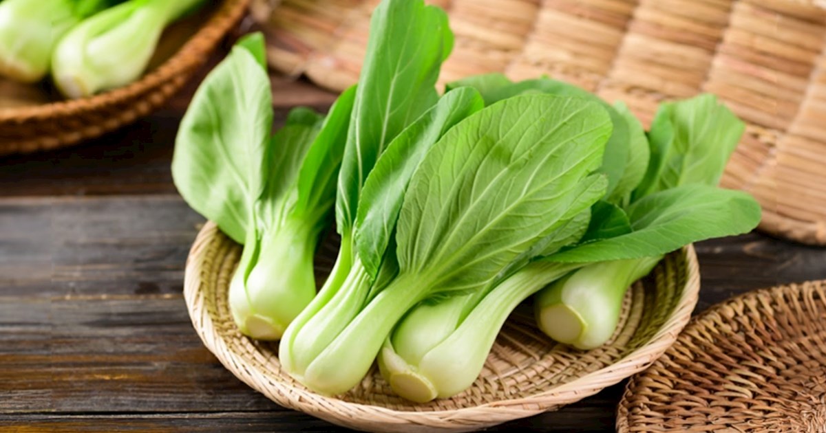 Bok Choy | Local Cabbage From China, East Asia