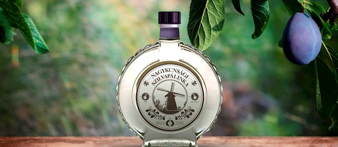 Brandies of the World: 41 Brandy Types | TasteAtlas