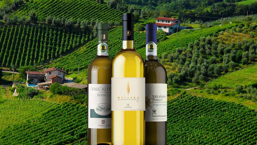 3 Best White Wines in Lombardy - TasteAtlas