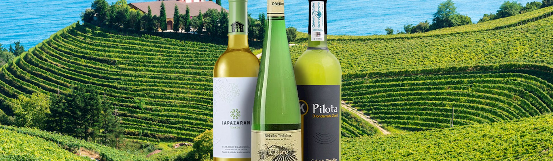 30 Best Wines in the Basque Country - TasteAtlas