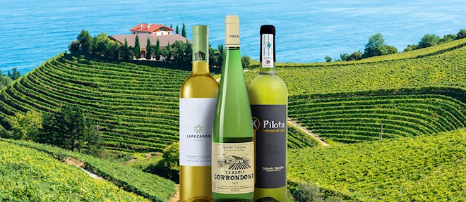 Basque Wine Appellations: 4 Wine Appellation Types in Basque Country ...