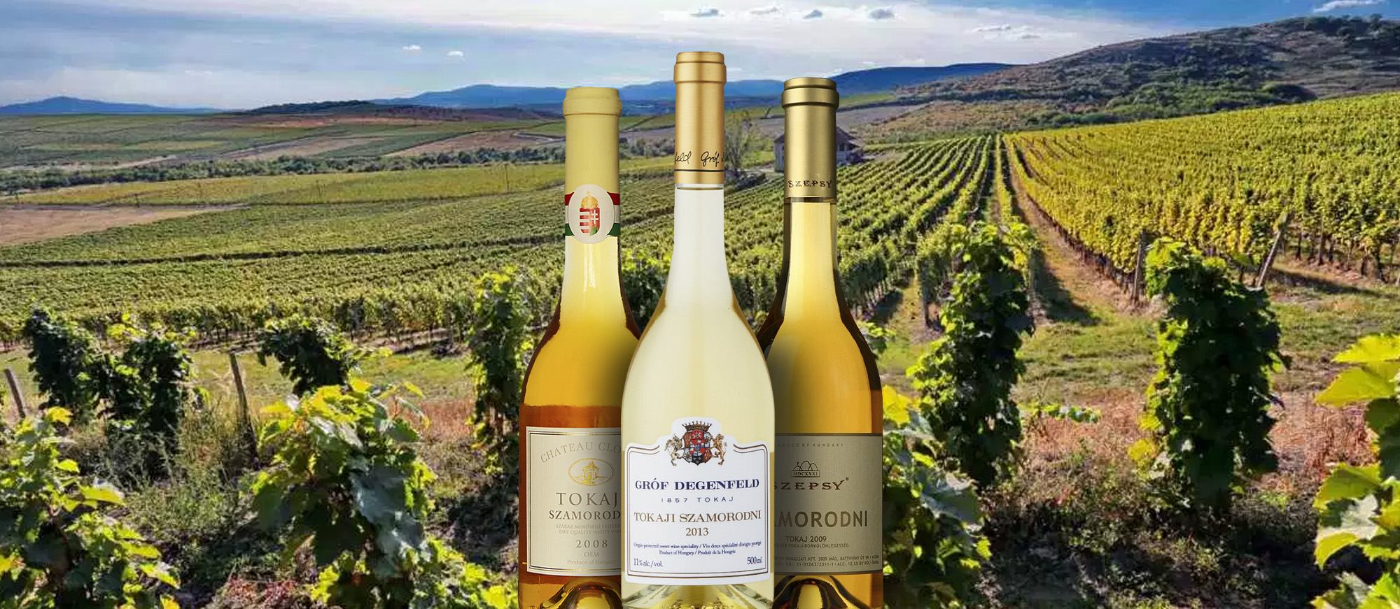 4 Best Rated Hungarian Alcoholic Beverages - TasteAtlas