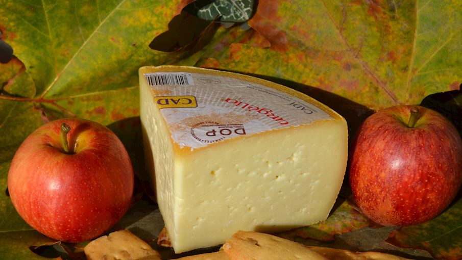 8 Most Popular Catalan Cheeses - TasteAtlas