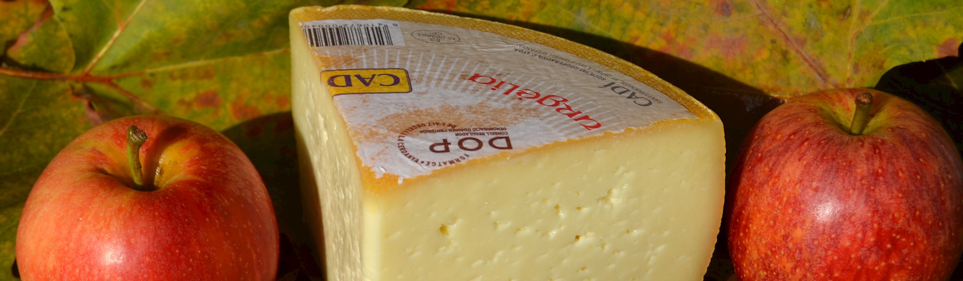 4 Best Natural Rind Cheeses in Catalonia - TasteAtlas