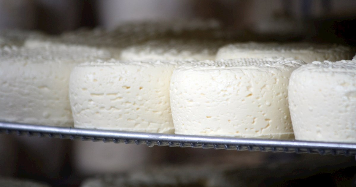 100 Best Cheeses in the United States of America - TasteAtlas
