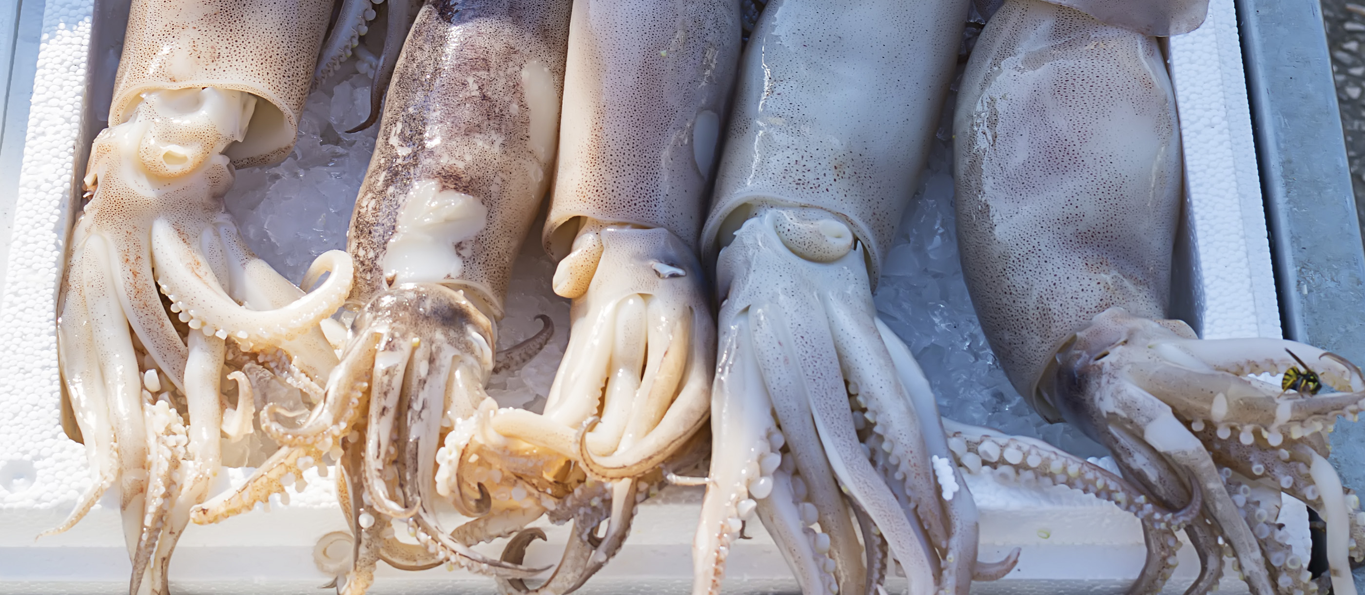 6 Best Rated Greek Seafoods - TasteAtlas