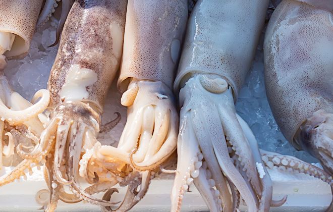 Shellfish of the World: 47 Shellfish Types | TasteAtlas