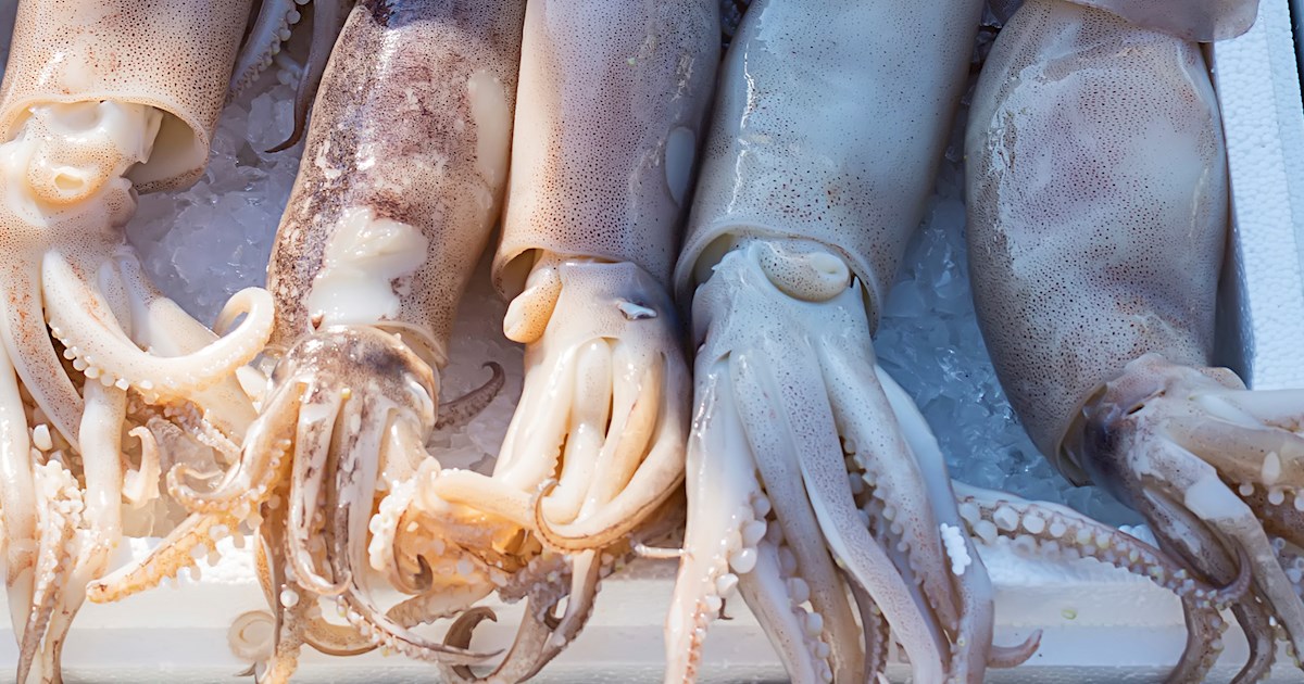 9 Best Rated European Shellfish - TasteAtlas