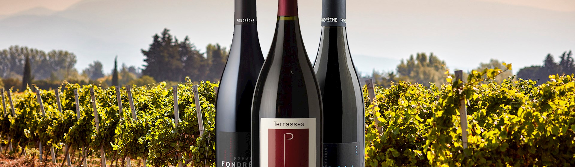 33 Best Wines in Provence - TasteAtlas