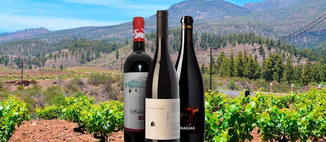 Spanish Wine Varieties: 24 Wine Variety Types in Spain | TasteAtlas