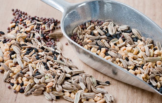 Spices of the World: 55 Spice Types | TasteAtlas