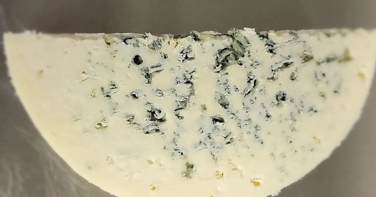 25 Best Sheep's Milk Cheeses in the United States of America - TasteAtlas
