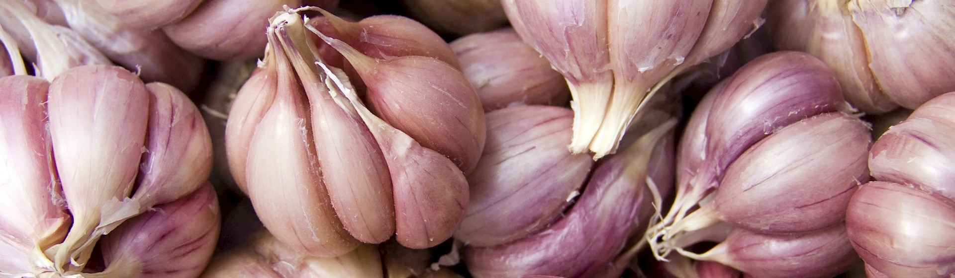 14 Best Garlics in Europe - TasteAtlas