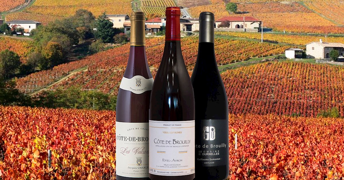 Côte de Brouilly | Local Wine Appellation From Rhône, France