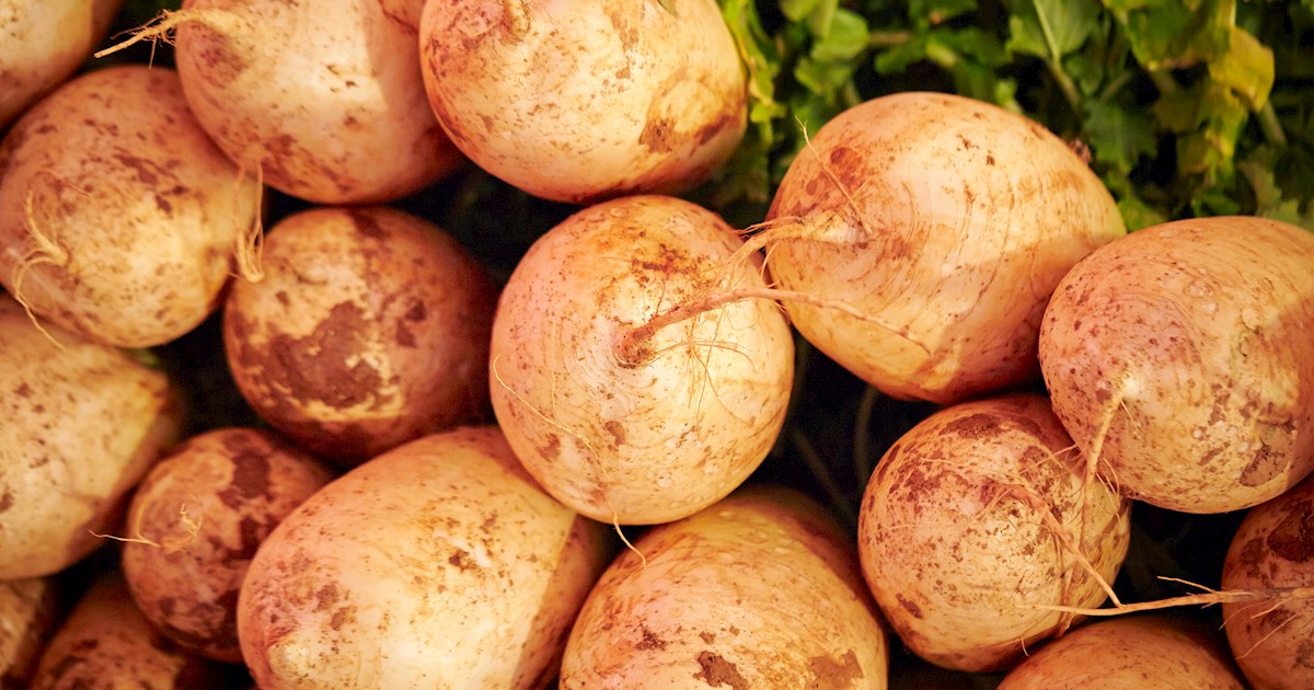 Root Vegetables of the World: 17 Root Vegetable Types | TasteAtlas