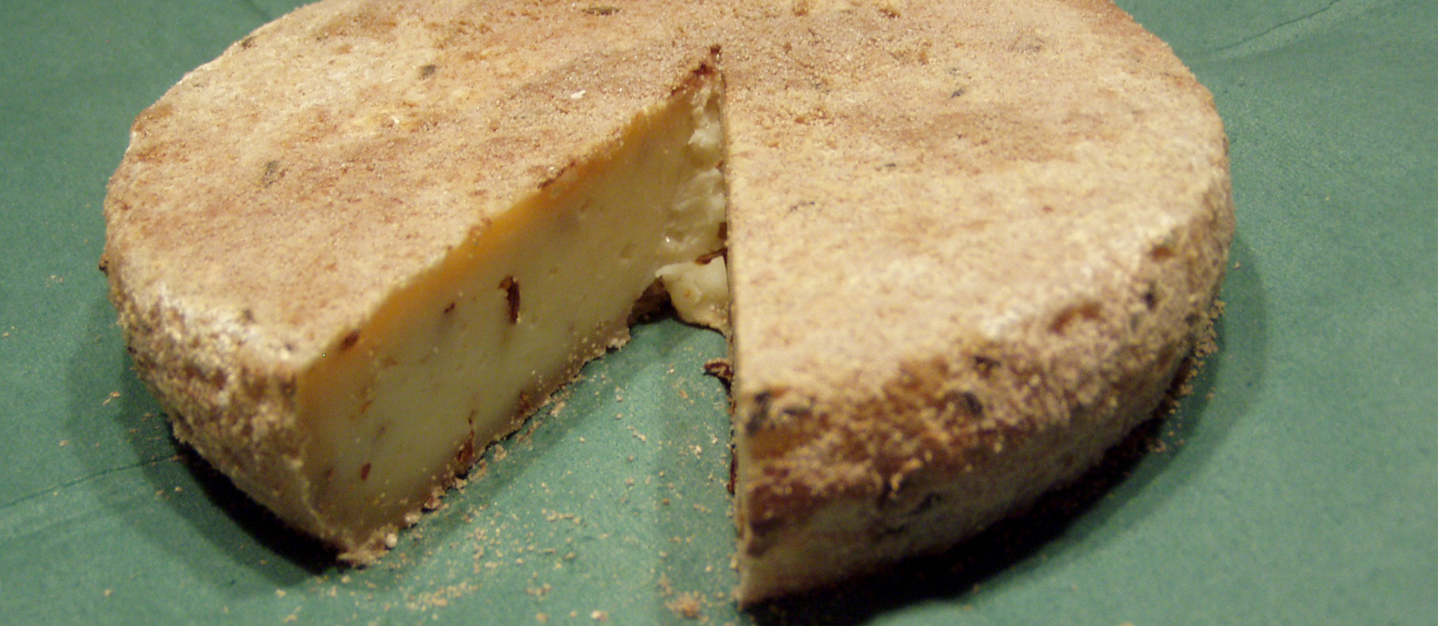 Milbenkäse | Local Cheese From Würchwitz, Germany